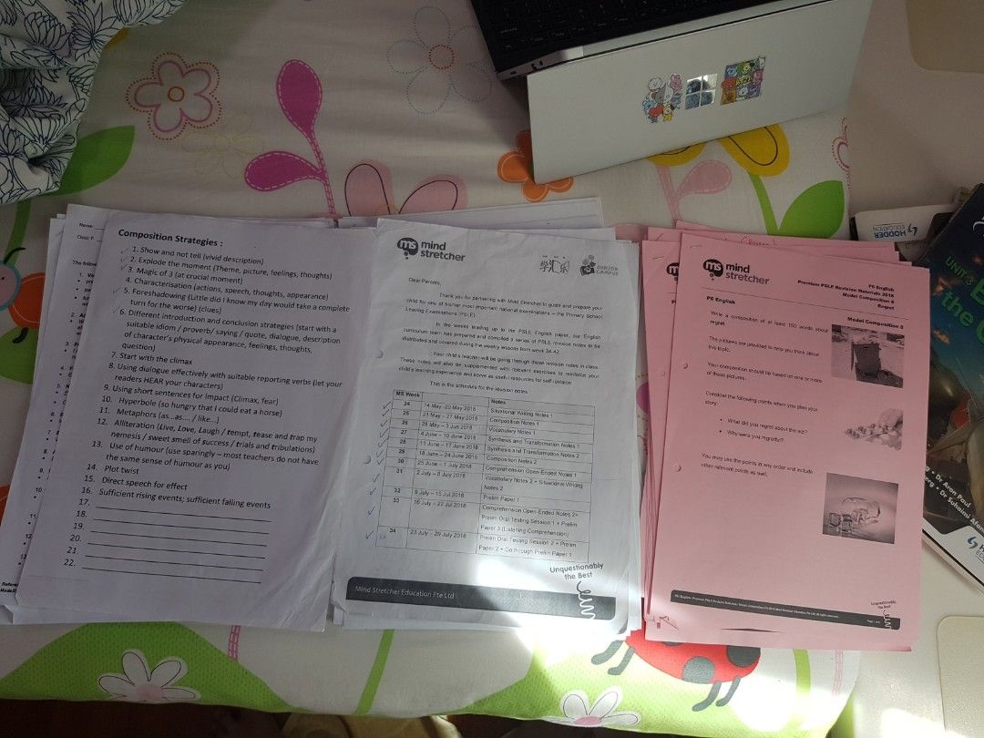 PSLE MSLC ENGLISH NOTES, Hobbies & Toys, Books & Magazines, Textbooks ...