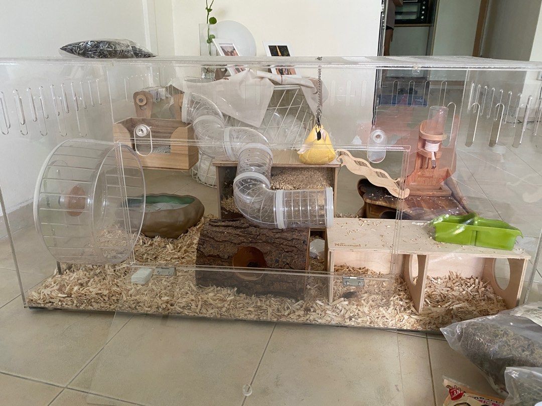 Syrian hamster cage, Pet Supplies, Homes & Other Pet Accessories on ...