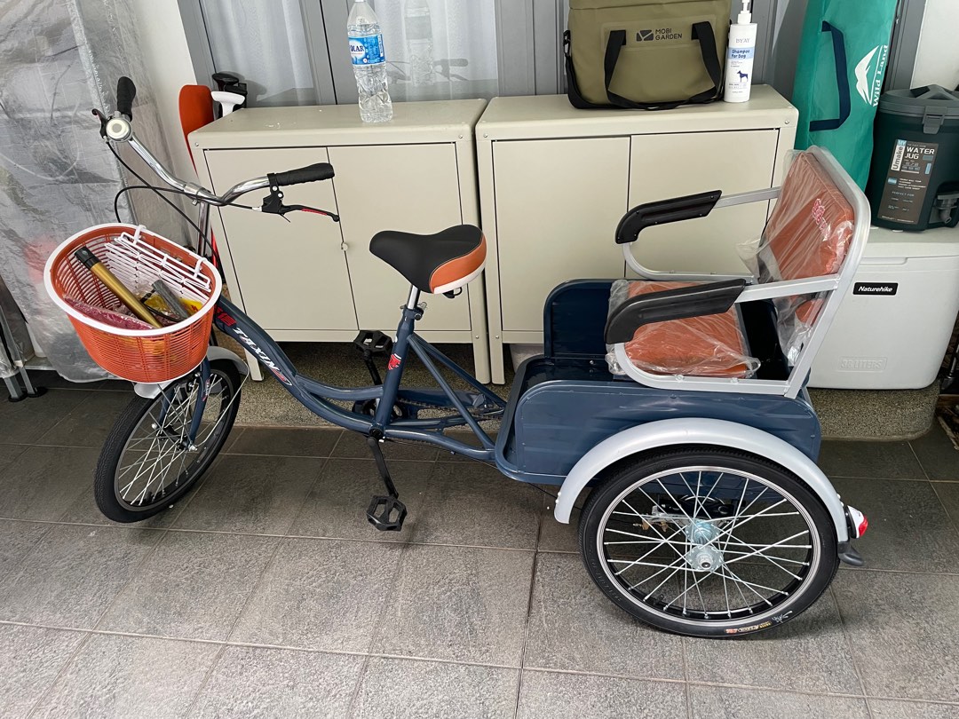 Tricycle with convertible trunk / senior / kids / pet / cargo, Sports ...
