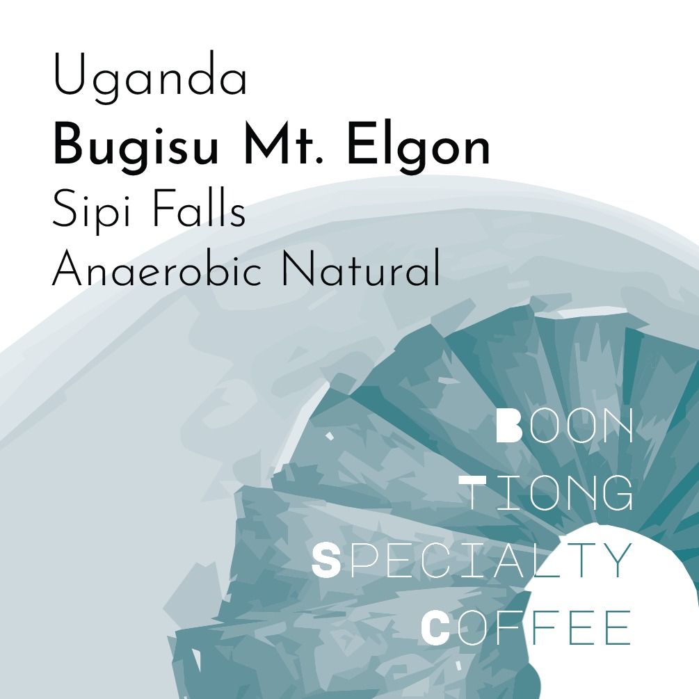 Uganda Bugisu Mt. Elgon Sipi Falls Anaerobic Natural Coffee Beans 225g ...
