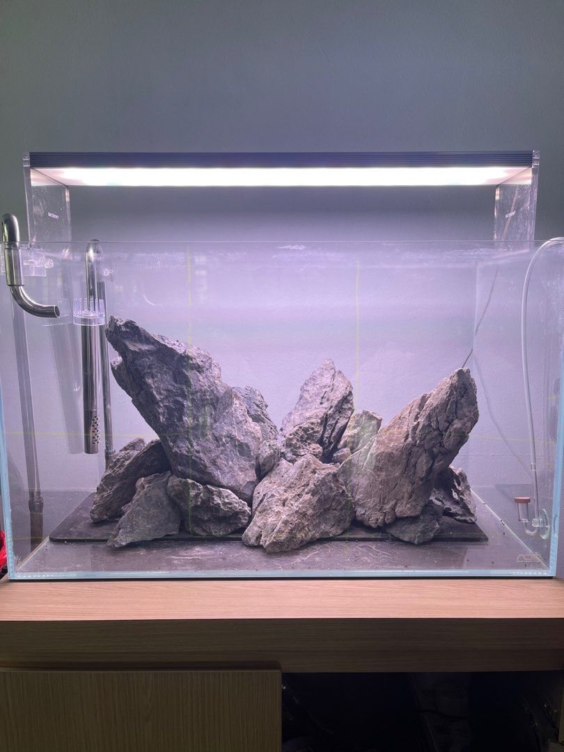 Full System Setup 2ft ADA tank with co2 , Pet Supplies, Homes & Other ...