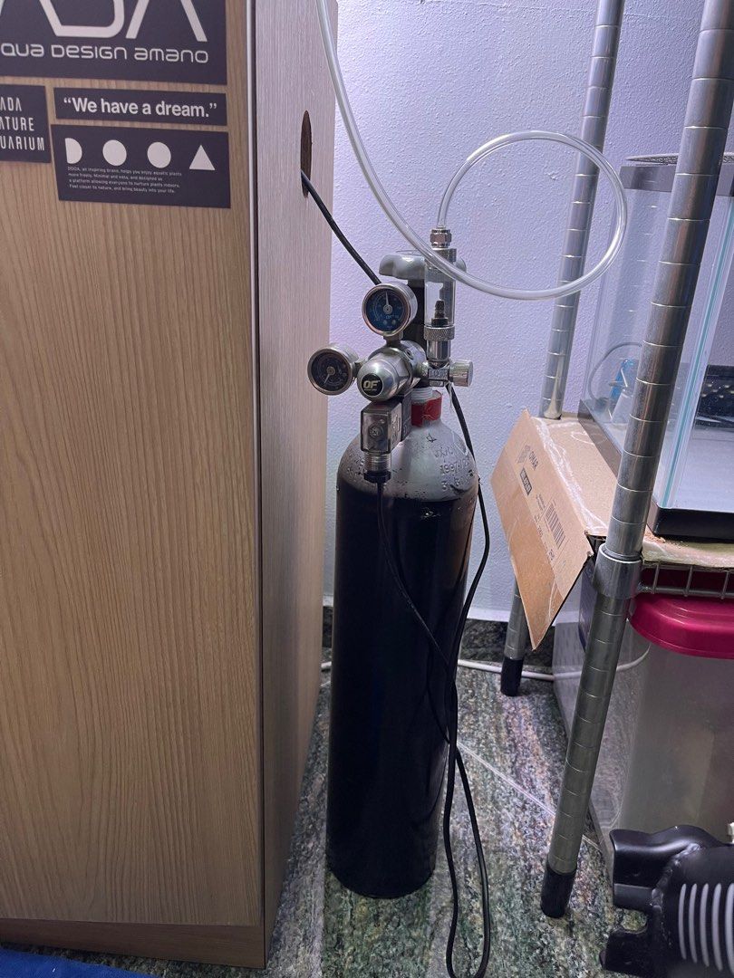 2ft ADA tank Full setup, Pet Supplies, Homes & Other Pet Accessories on ...