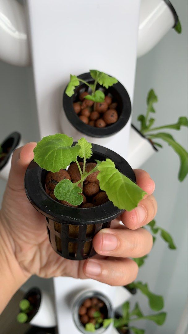 64 Pots Urban Farming Rack, Furniture & Home Living, Gardening, Pots ...