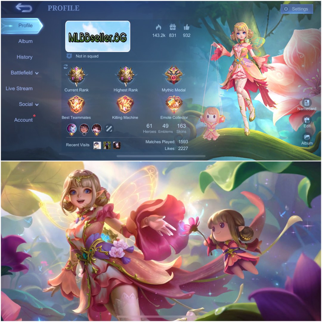 Angela collector, girl player acc, Video Gaming, Gaming Accessories ...