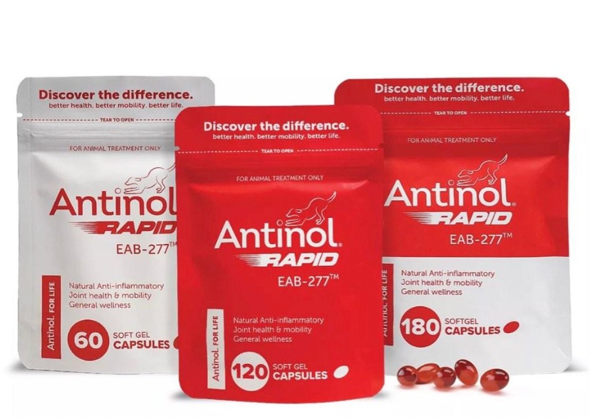 Antinol Rapid ($33/ 30 capsules, $65/60 capsules, $97/90 capsules, $129 ...