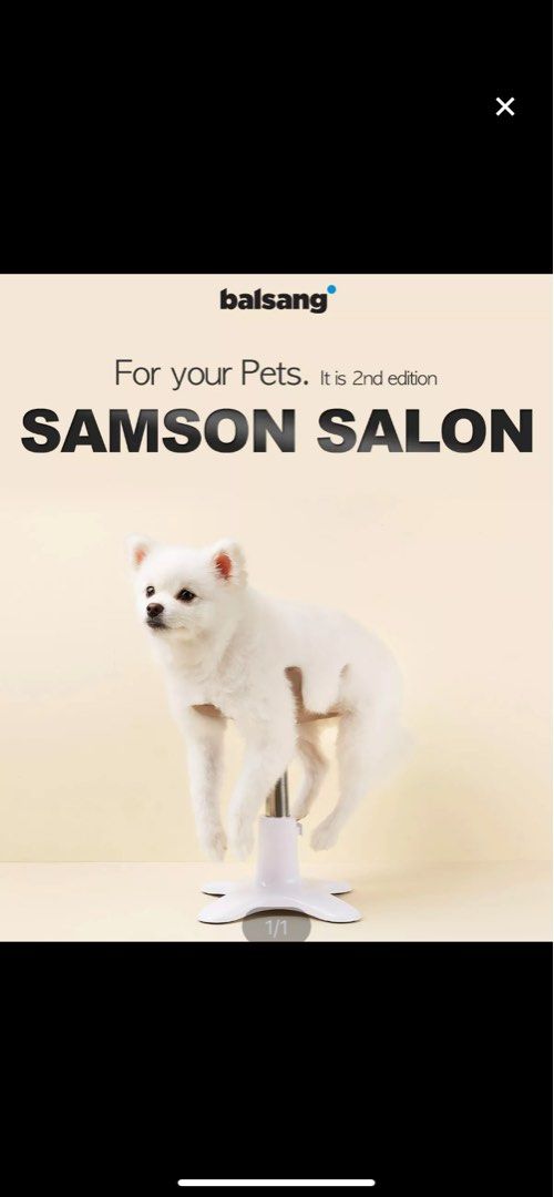 Balsang Samson Salon/ Beauty Chair For Dog, Pet Supplies, Health ...