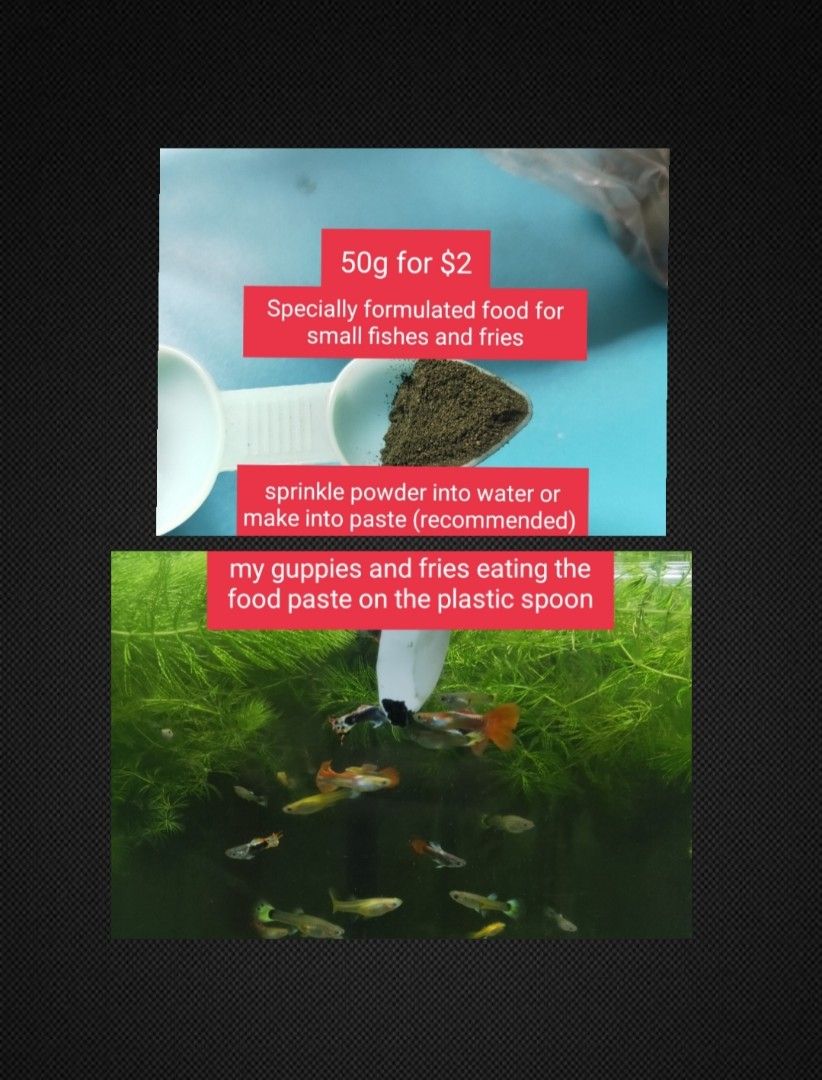 Fish Pellets/powder food for small fishes or fries (Japan) guppies ...