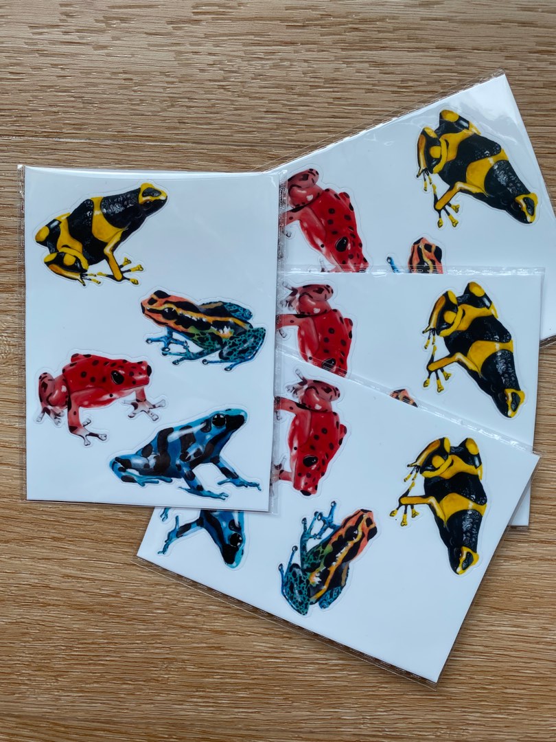 Laminated waterproof poison dart frogs laptop decal, Hobbies & Toys ...