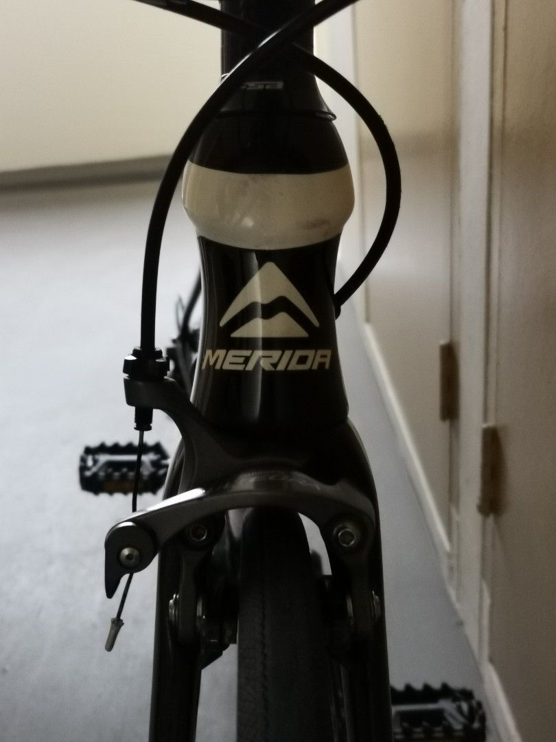 Merida Reacto 5000 Lampre - Full Ultegra, Full Carbon, Sports Equipment ...