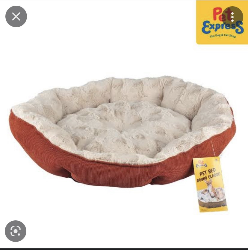 Pet Express Bed, Pet Supplies, Homes & Other Pet Accessories on Carousell