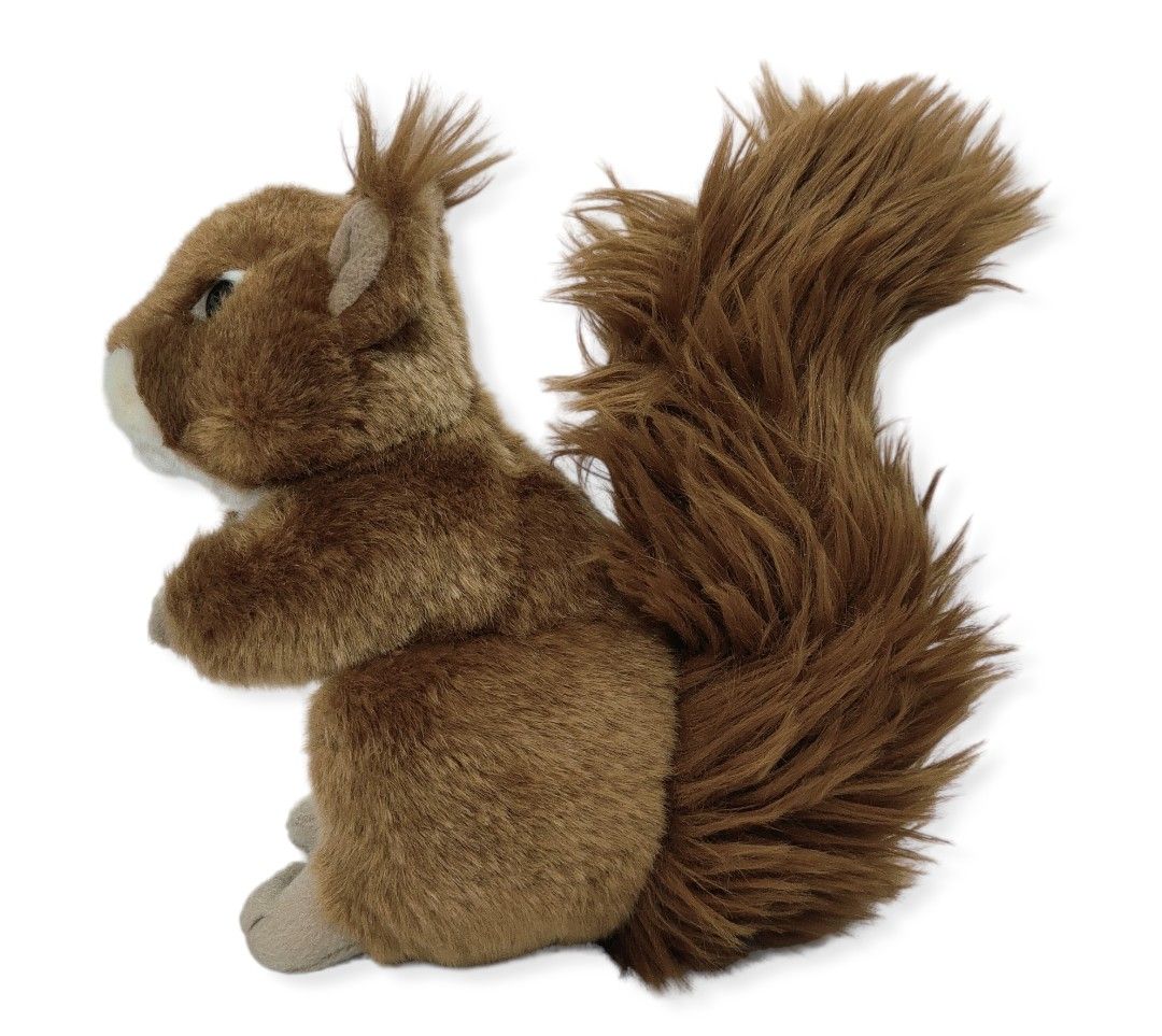 Realistic Squirrel Stuffed Toy, Hobbies & Toys, Toys & Games on Carousell