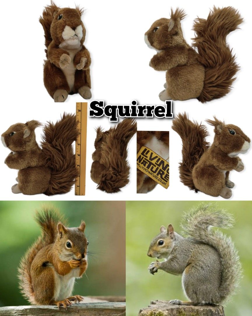 Realistic Squirrel Stuffed Toy, Hobbies & Toys, Toys & Games on Carousell