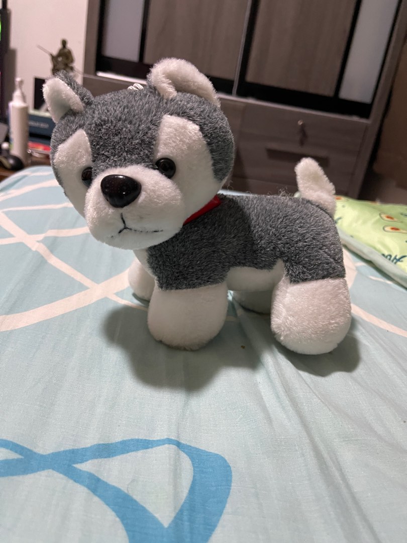 Soft Toy wolf dog, Hobbies & Toys, Toys & Games on Carousell