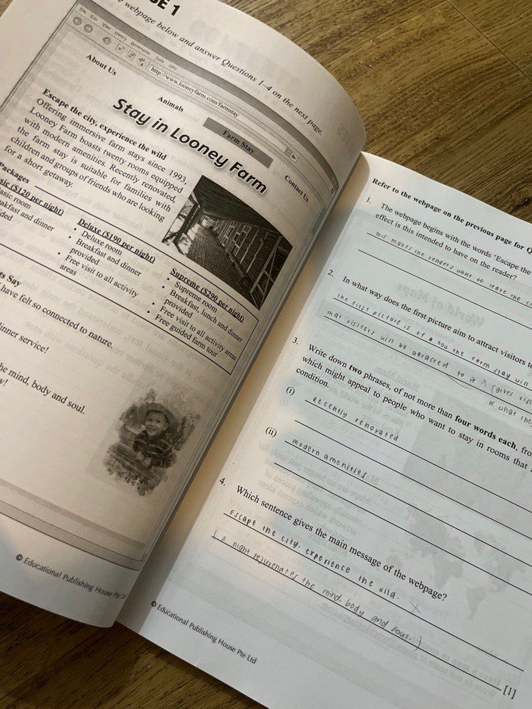 Visual text comprehension lower secondary, Hobbies & Toys, Books ...