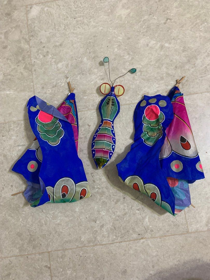 Foldable kite, Sports Equipment, Sports & Games, Kites on Carousell