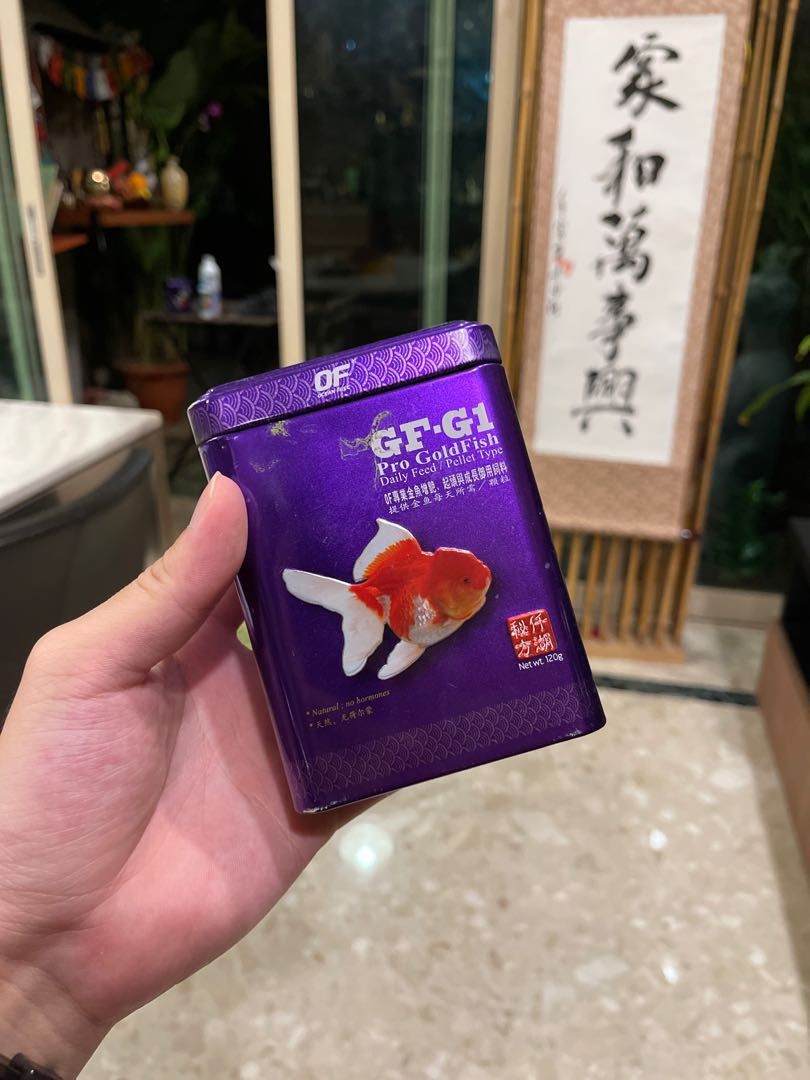 Ocean Free 30L Glass Fish Tank with Accessories, Pet Supplies, Homes ...