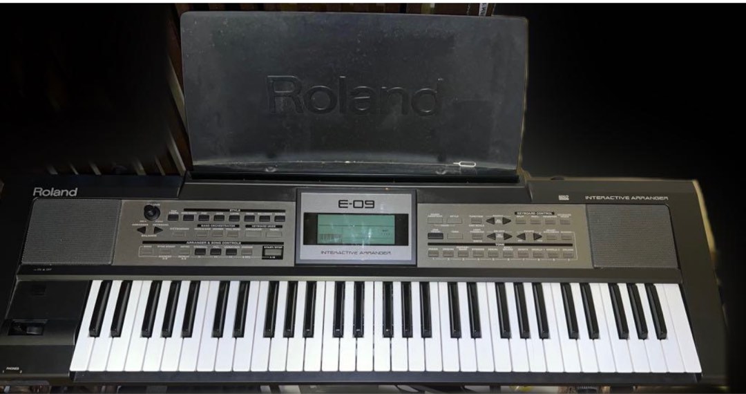 Roland E-09, Hobbies & Toys, Music & Media, Musical Instruments on ...