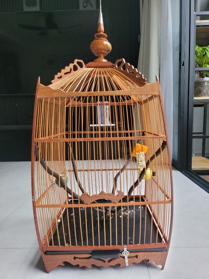 Square cage with custom made gaya, Pet Supplies, Homes & Other Pet ...