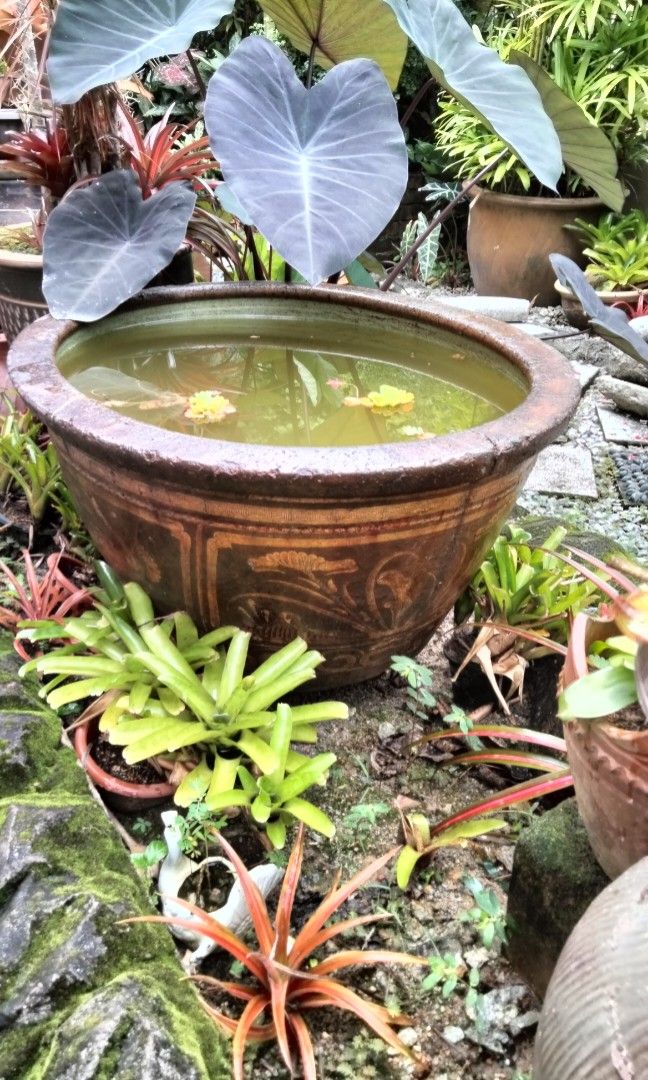 Tempayan lama (tl22), Hobbies & Toys, Collectibles & Memorabilia ...