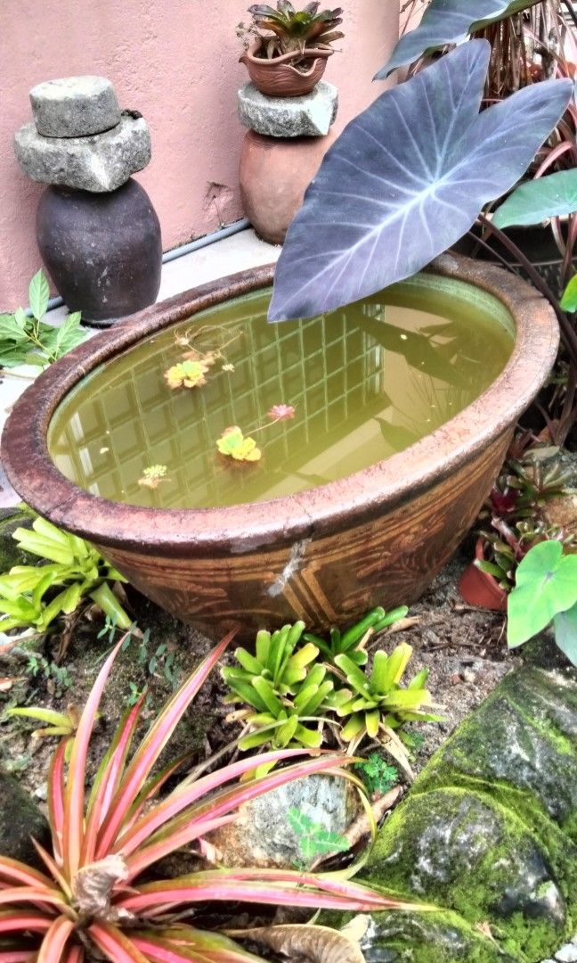 Tempayan lama (tl22), Hobbies & Toys, Collectibles & Memorabilia ...