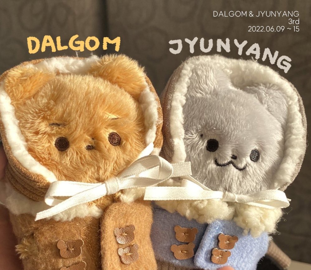 The Boyz TBZ Hyunjae Dalgom & Juyeon Jyunyang (set) 10cm Cat Bear Dolls ...