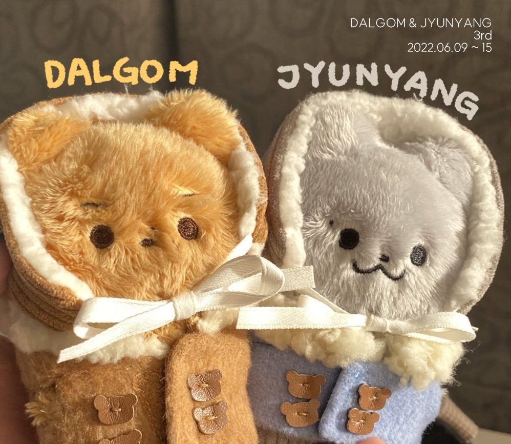 The Boyz TBZ Hyunjae Dalgom & Juyeon Jyunyang (set) 10cm Cat Bear Dolls ...