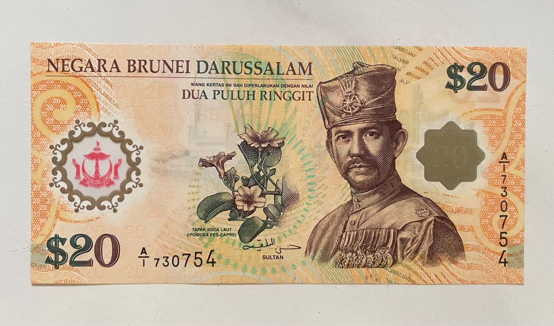 $20 Brunei Commemorative Note, Hobbies & Toys, Memorabilia ...