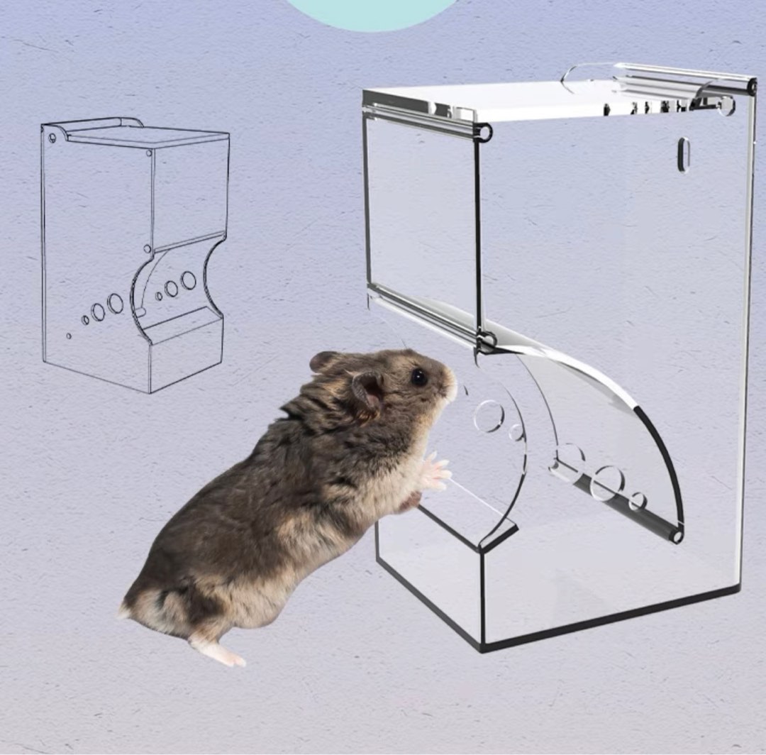 Automatic Hamster Feeder, Pet Supplies, Homes & Other Pet Accessories ...