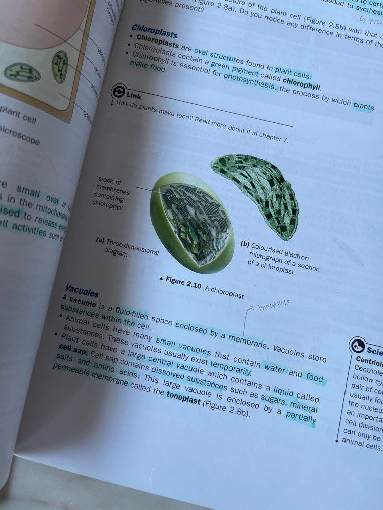 Combined Bio textbook, Hobbies & Toys, Books & Magazines, Textbooks on ...