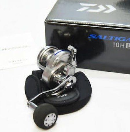 Daiwa saltiga 10HL, Sports Equipment, Fishing on Carousell