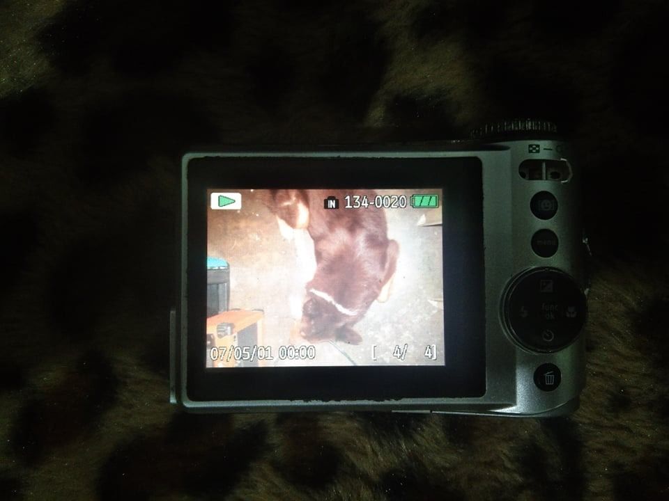 GE A730 Digital Camera, Photography, Cameras on Carousell