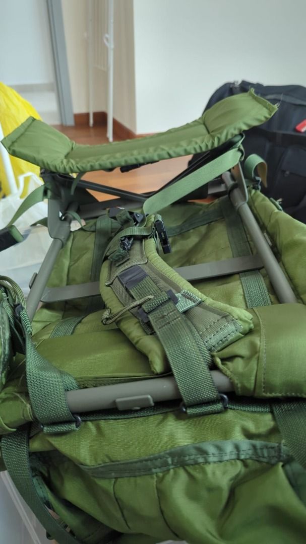 Genuine US Alice Pack (Exact one used in SAF) Field pack, military ...
