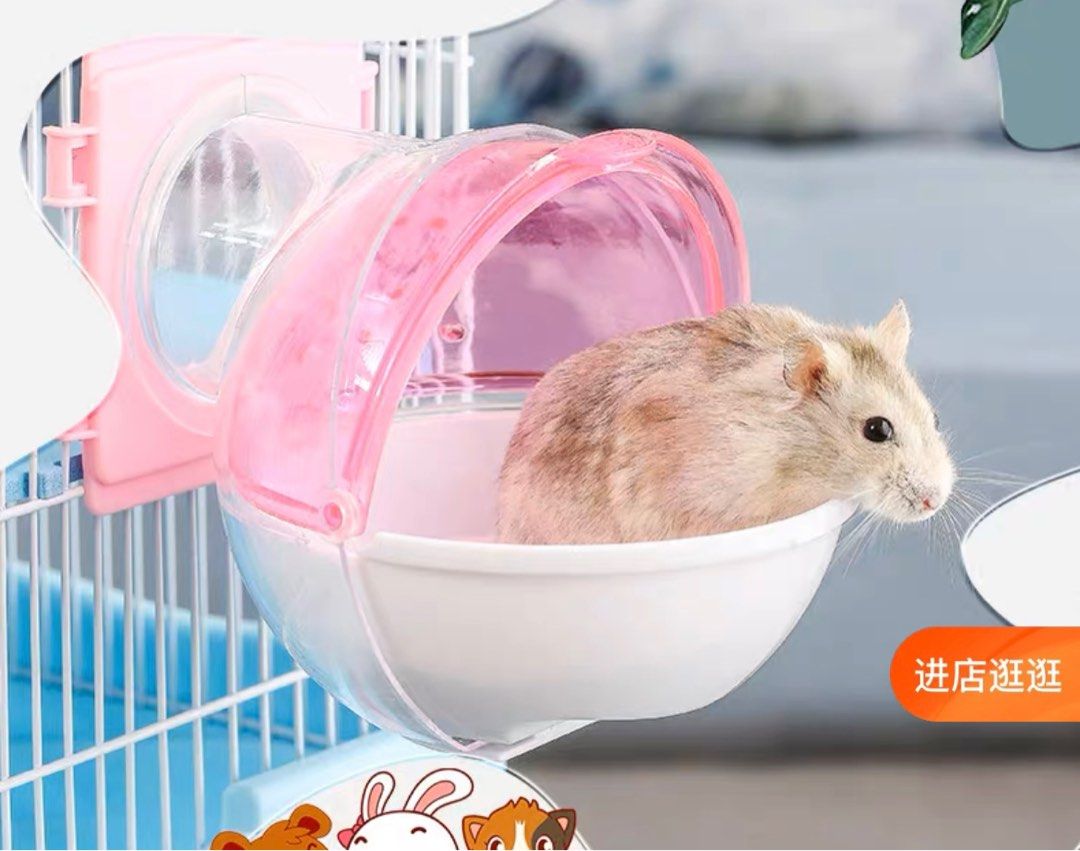 Hamster Bath, Pet Supplies, Homes & Other Pet Accessories on Carousell