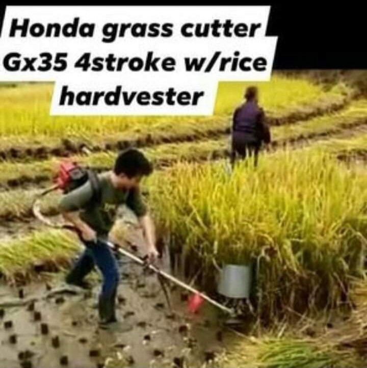 Honda grass cutter gx35 4 stroke, Health & Nutrition, Medical Supplies ...