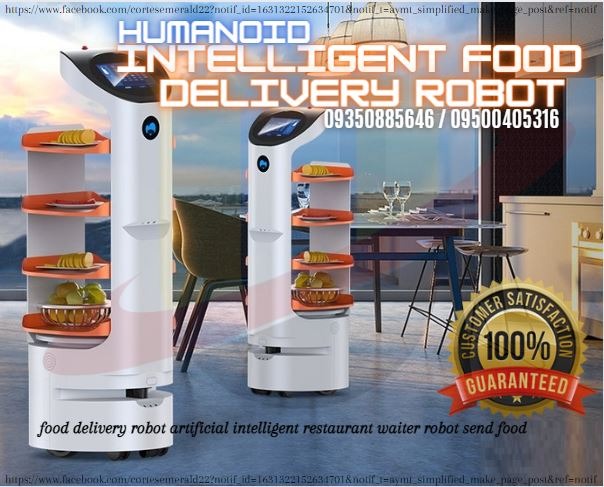 Intelligent Food Delivery Robot, TV & Home Appliances, Kitchen ...