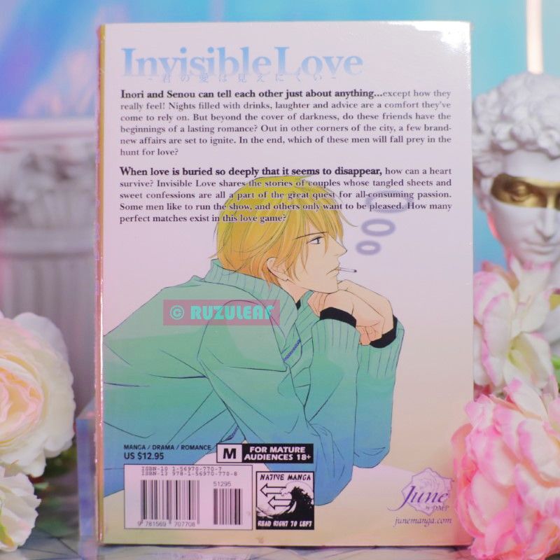 Invisible Love (Rie Honjou) English BL Manga - preloved/komik/comic ...