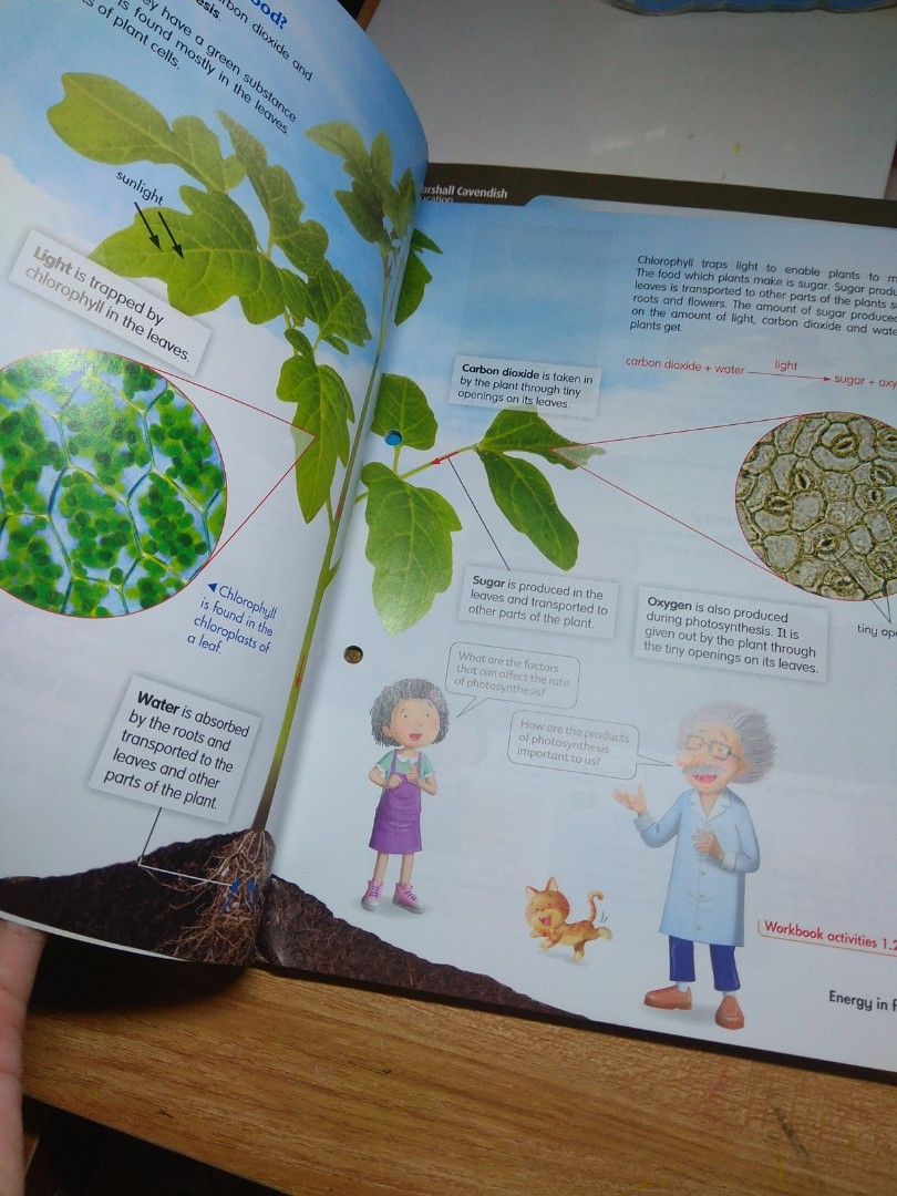 P6 science textbook 2 hand interactions and energy, Hobbies & Toys ...