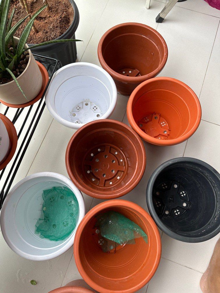 Plant pots, Furniture & Home Living, Gardening, Pots & Planters on ...