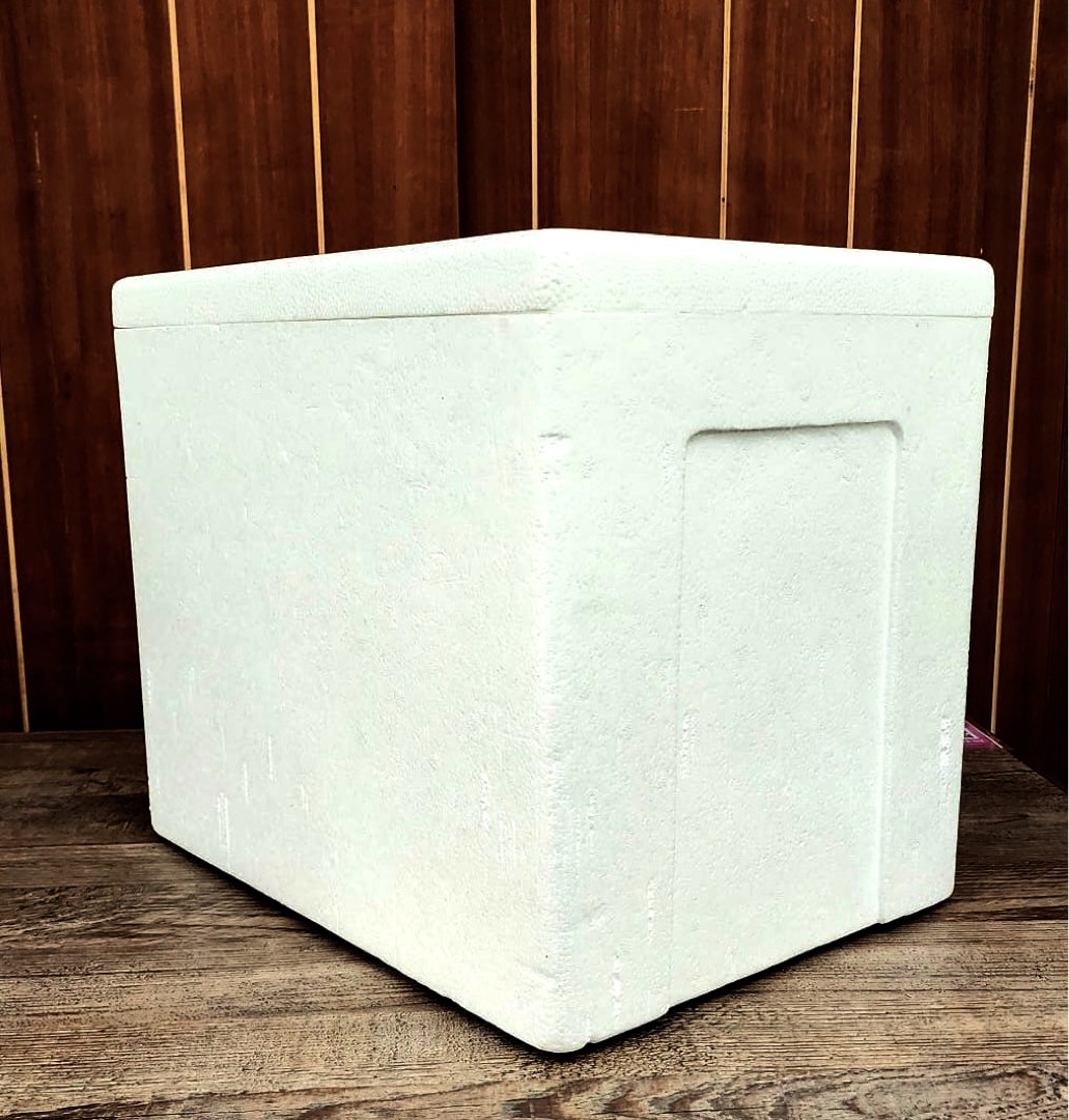 Styrofoam storage boxes, TV & Home Appliances, Kitchen Appliances, Ice ...