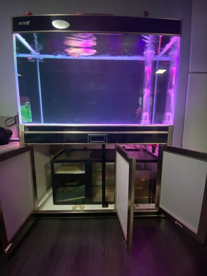 4ft Fish tank with cabinet (sump), Pet Supplies, Homes & Other Pet ...