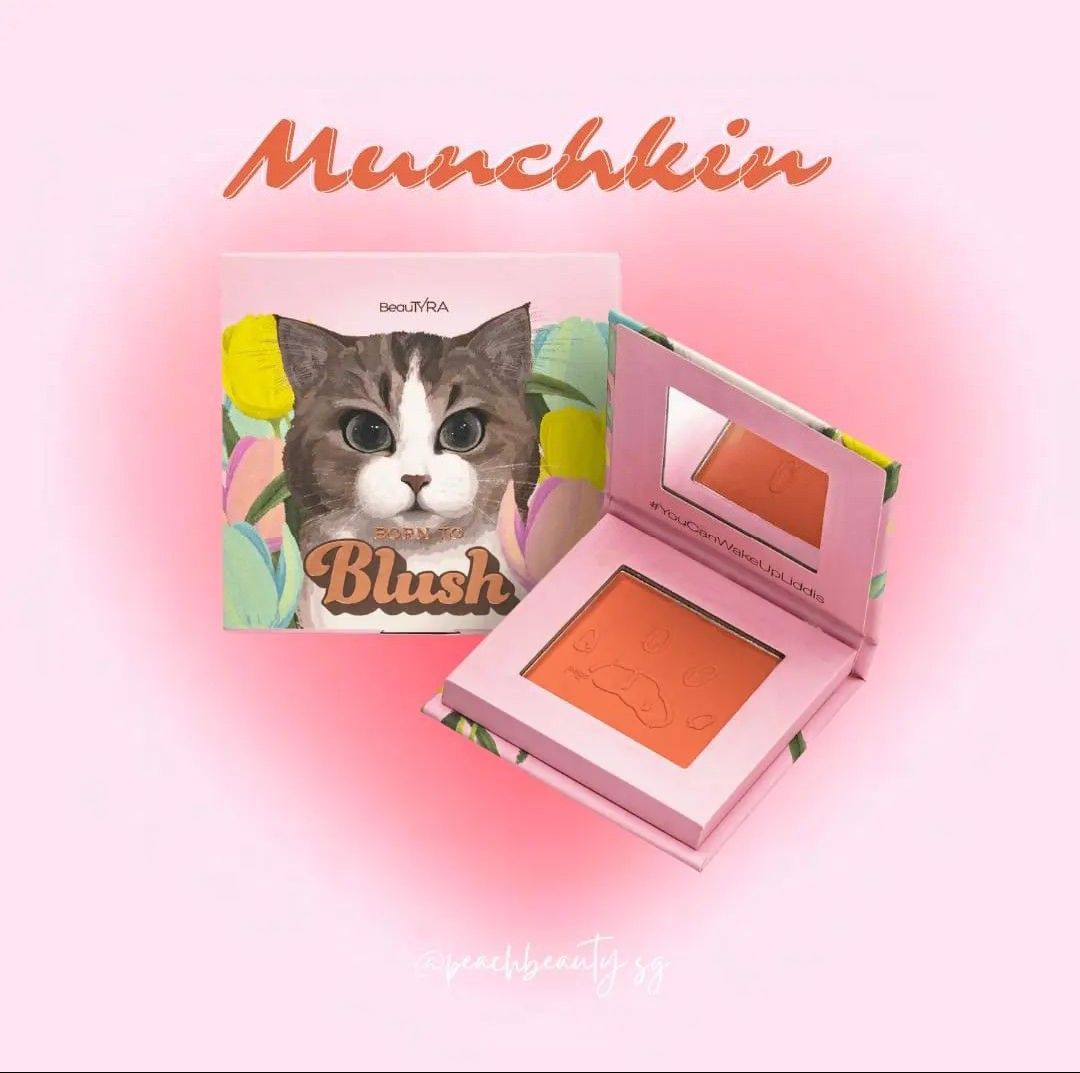 BeauTyra Meow Meow Collection Blusher, Beauty & Personal Care, Face ...