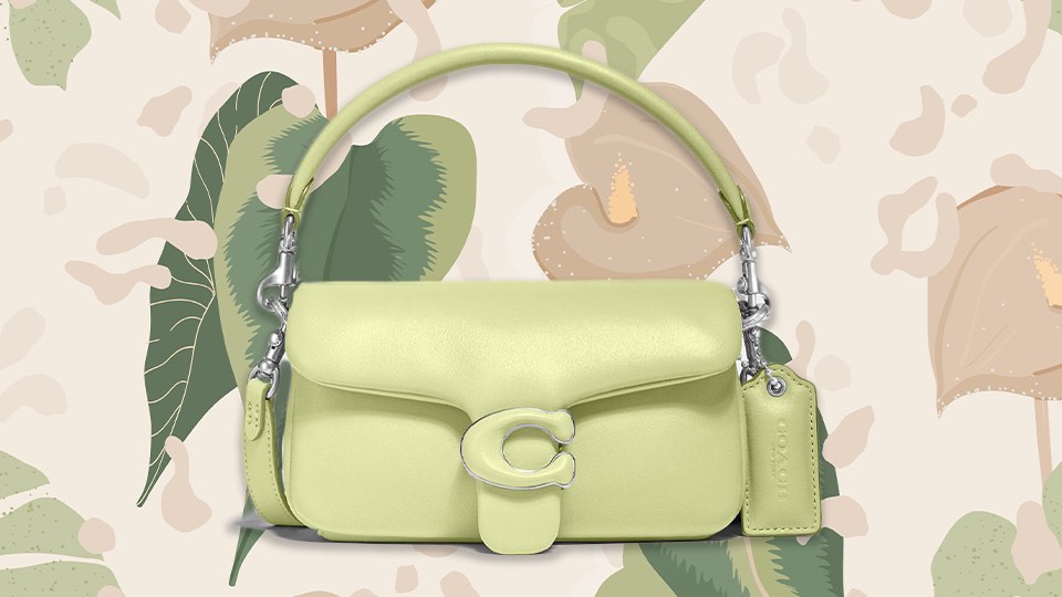 Coach Mini Tabby Bag Mint, Women's Fashion, Bags & Wallets, Shoulder ...