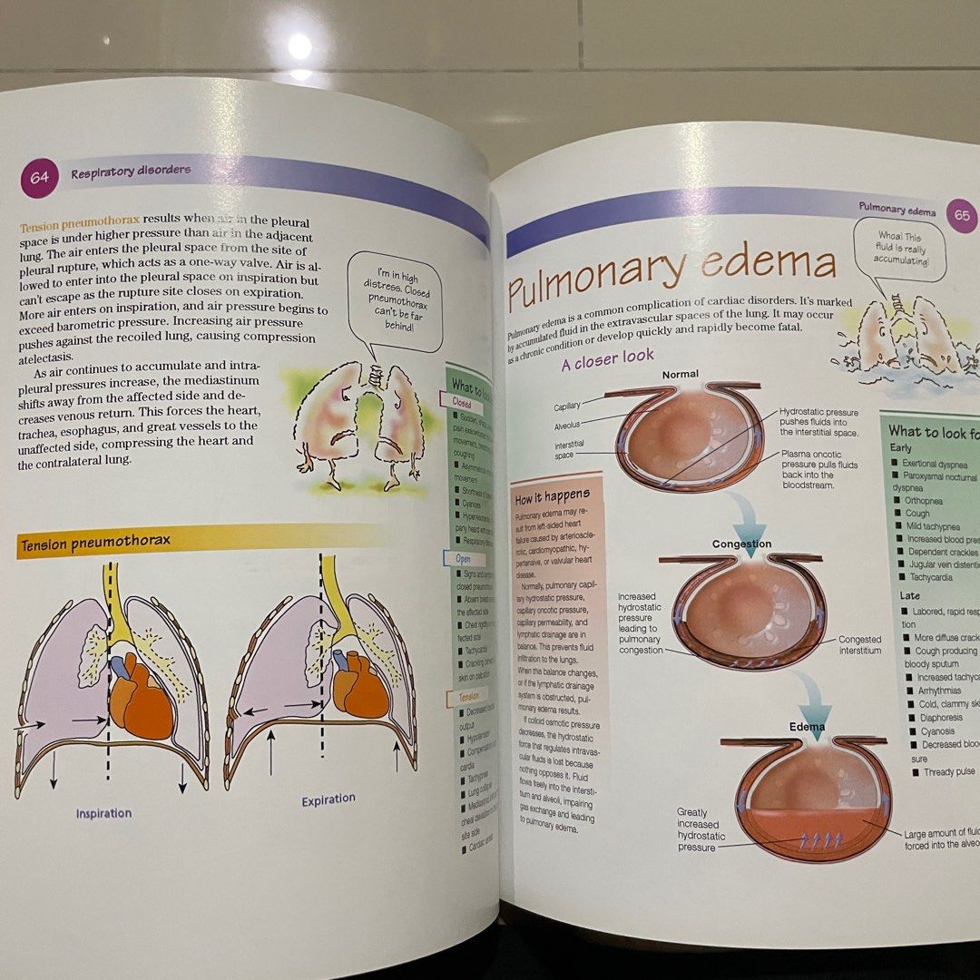 NURSING Pathophysiology made Incredibly Visual 2008, Hobbies & Toys ...