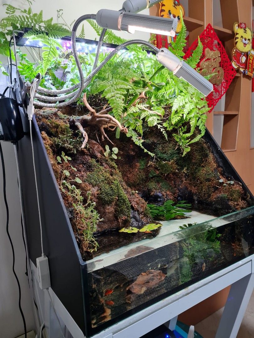 PALUDARIUM 2FT TANK - Full Set, Pet Supplies, Homes & Other Pet ...