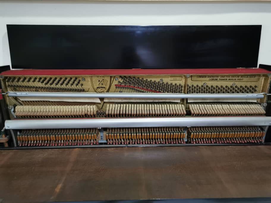 Petrof upright piano (Model P 114 Klasik), Hobbies & Toys, Music ...