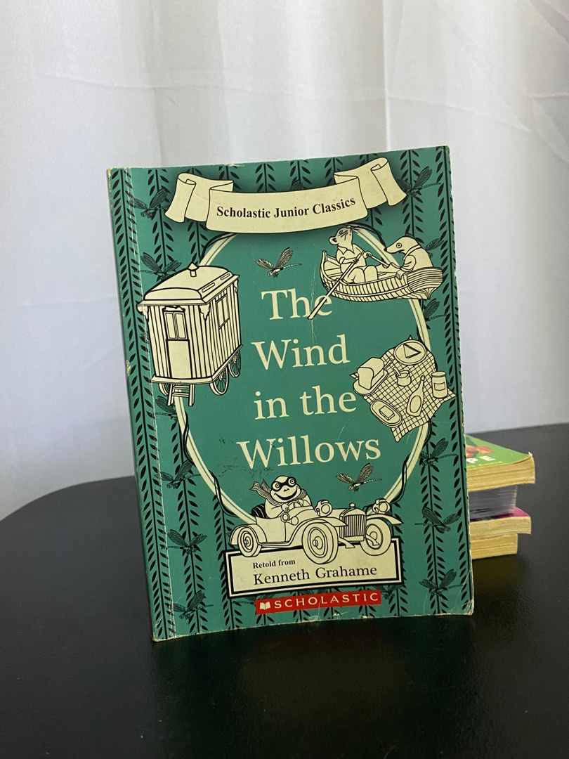 The wind in the willows plus 7 Junie B. Jones books and 4 random kids ...