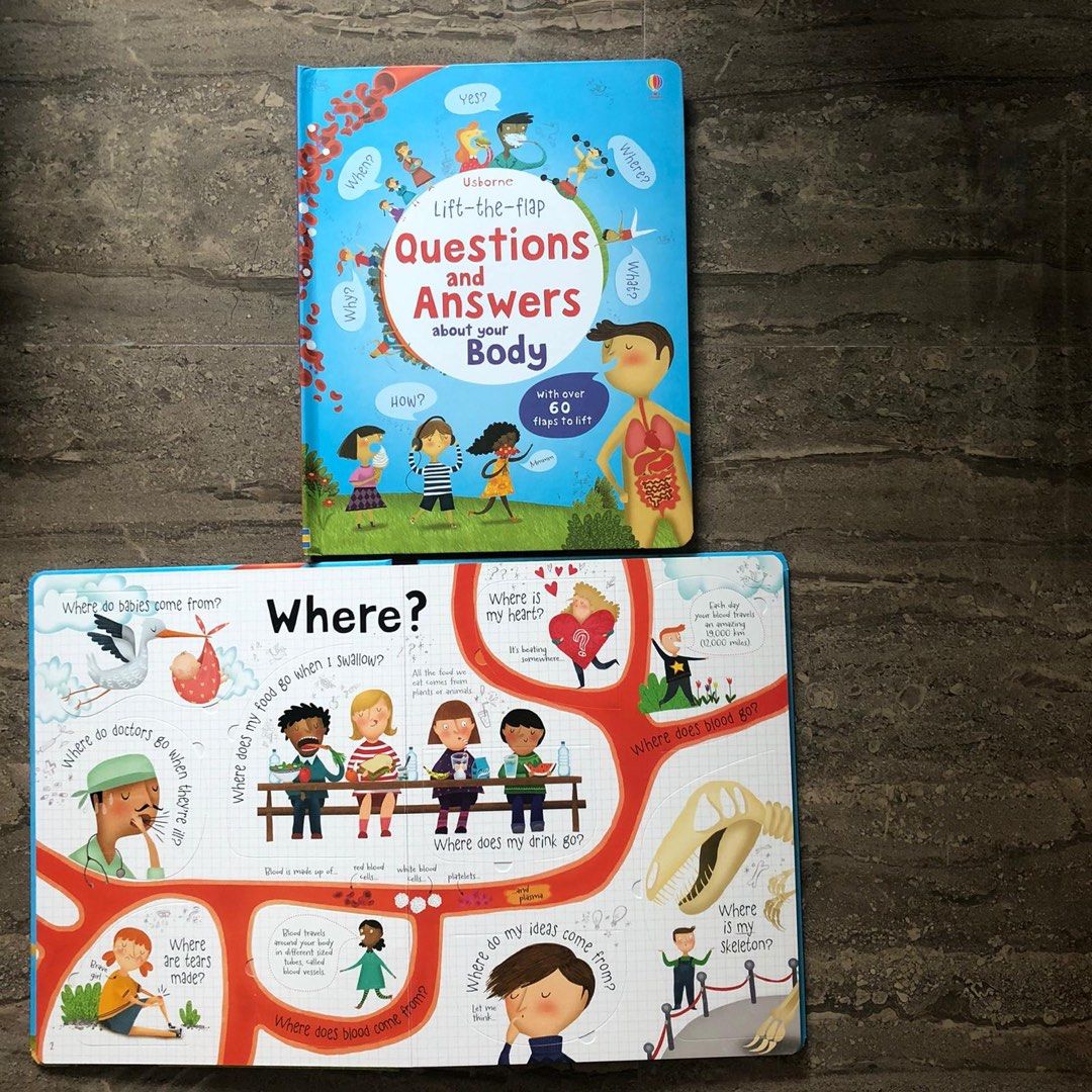 Usborne Lift-the-flap Question & Answer about body Board Book, Hobbies ...