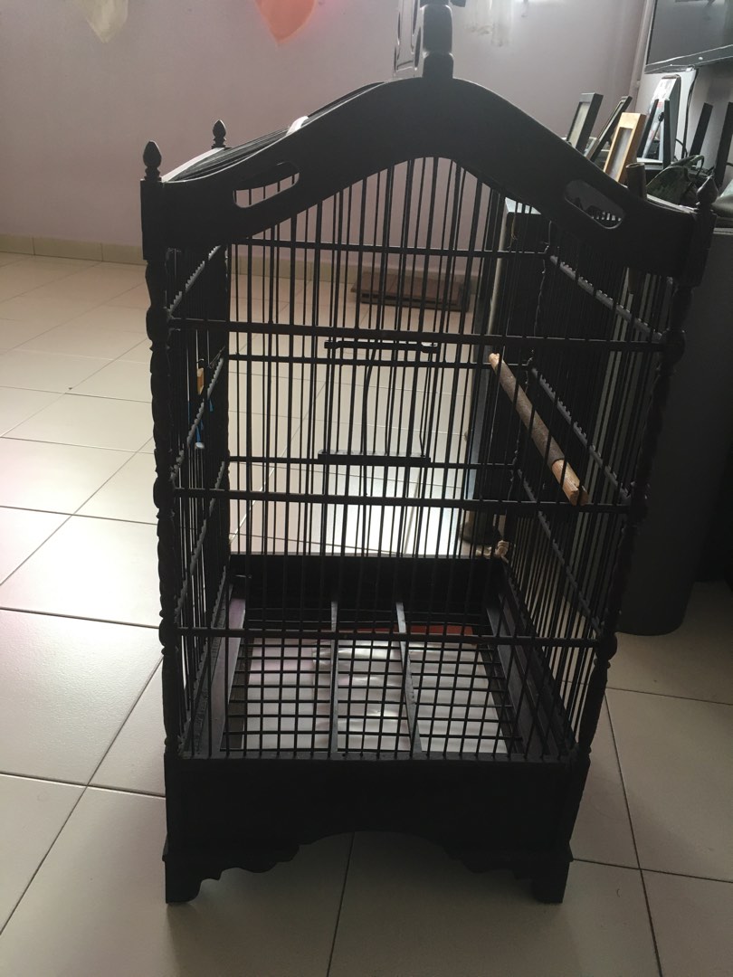 Big Bird cage, Pet Supplies, Homes & Other Pet Accessories on Carousell
