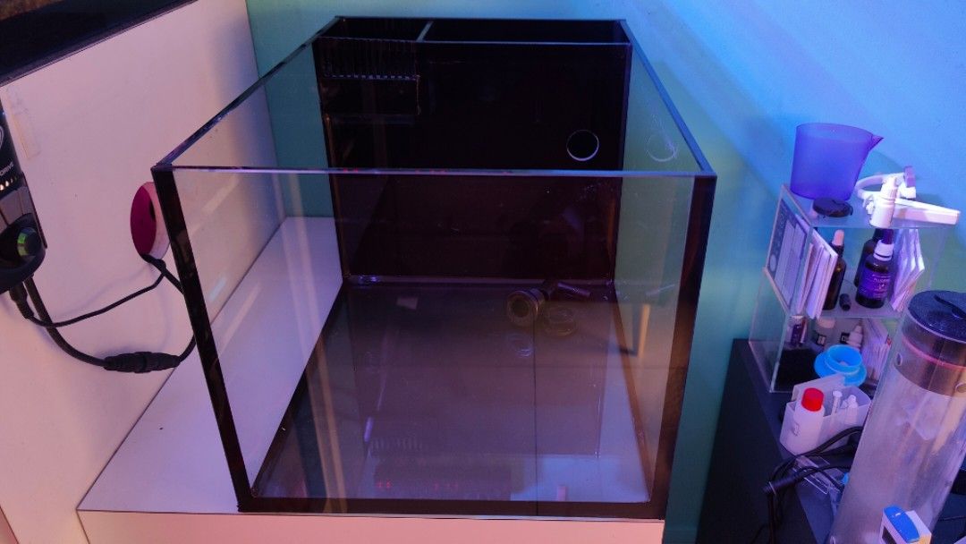 Fish Tank AIO with cabinet, Pet Supplies, Homes & Other Pet Accessories ...