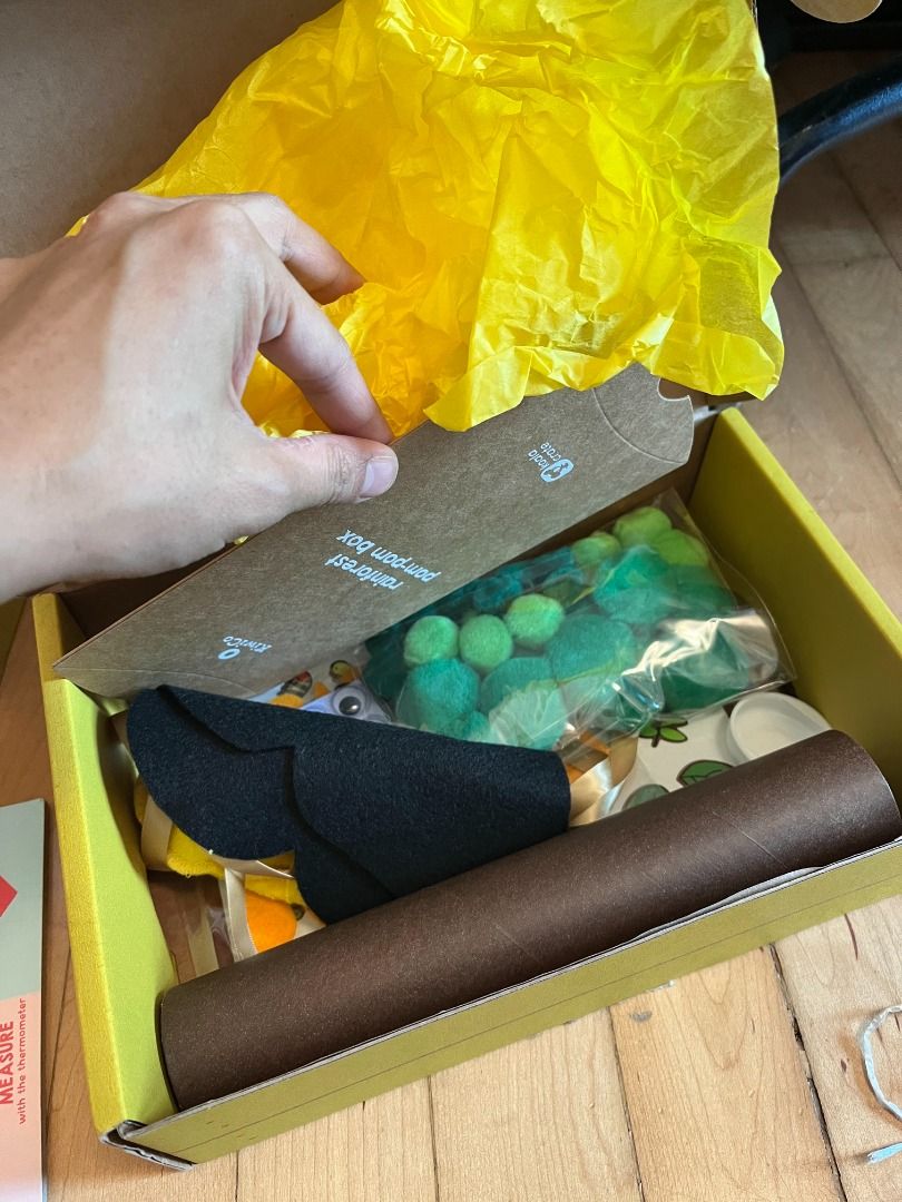 KiwiCo Rainforest STEM Box, Hobbies & Toys, Toys & Games on Carousell